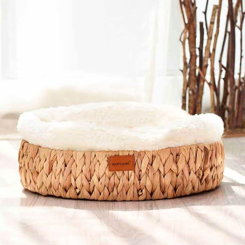 Jouet pour lapin interactif - Objet pour Lapin - Boutique - Mon lapin Nain