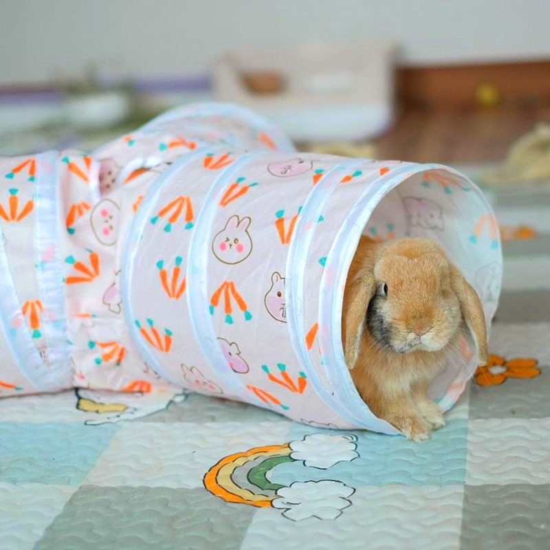 Jouet pour lapin interactif - Objet pour Lapin - Boutique - Mon lapin Nain