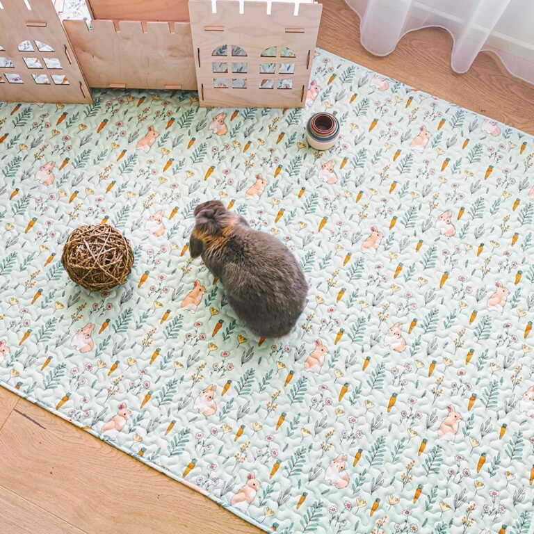 Jouet pour lapin interactif - Objet pour Lapin - Boutique - Mon lapin Nain
