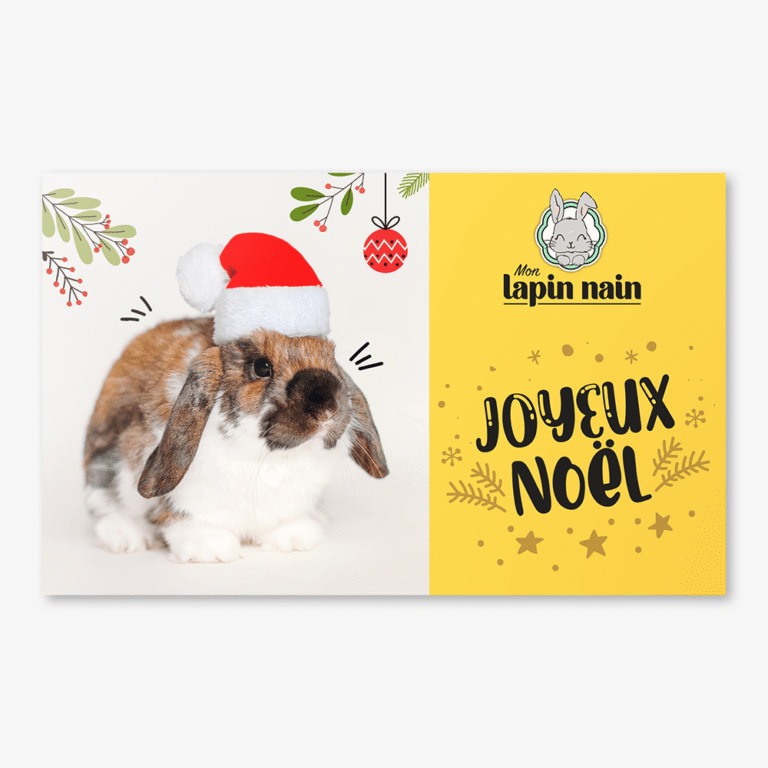 Carte Cadeau Noël - Mon lapin Nain